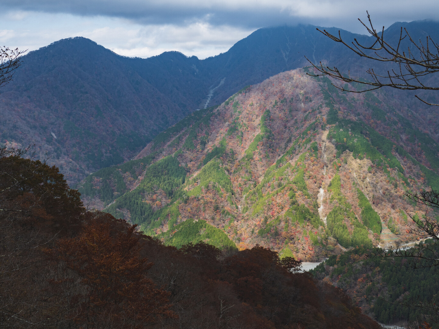 紅葉の鍋割山・塔ノ岳 / inbさんの丹沢山の活動データ | YAMAP / ヤマップ