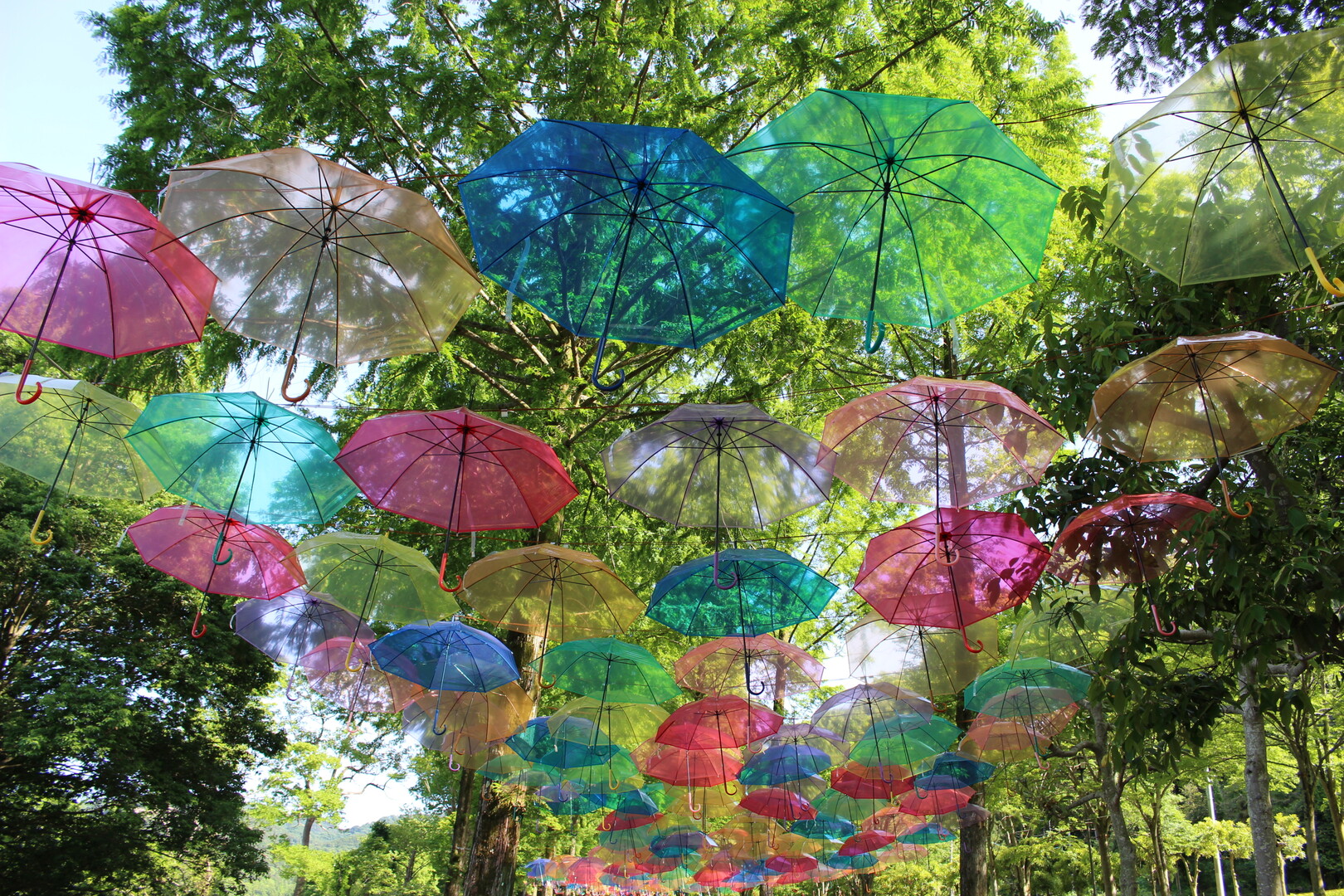 かんらDEアンブレラスカイ☂️ / はるママさんのウォーキングの活動データ | YAMAP / ヤマップ