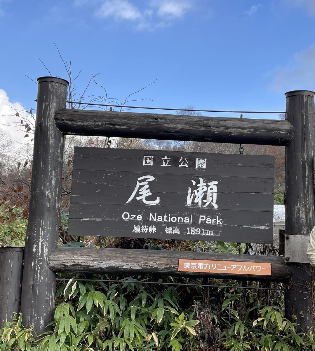 山を歩くインソール体験ツアーin尾瀬参戦💓 / yumaさんの尾瀬・至仏山・悪沢岳・笠ヶ岳の活動データ | YAMAP / ヤマップ