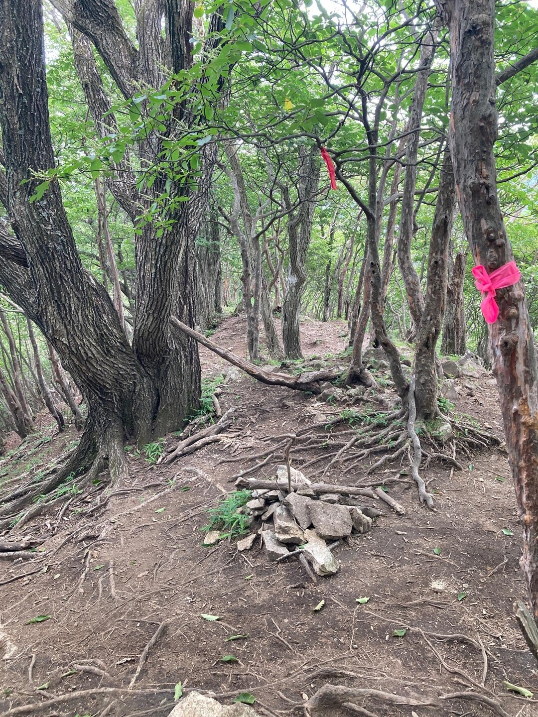 JIROさんの投稿したフィールドメモ | YAMAP / ヤマップ