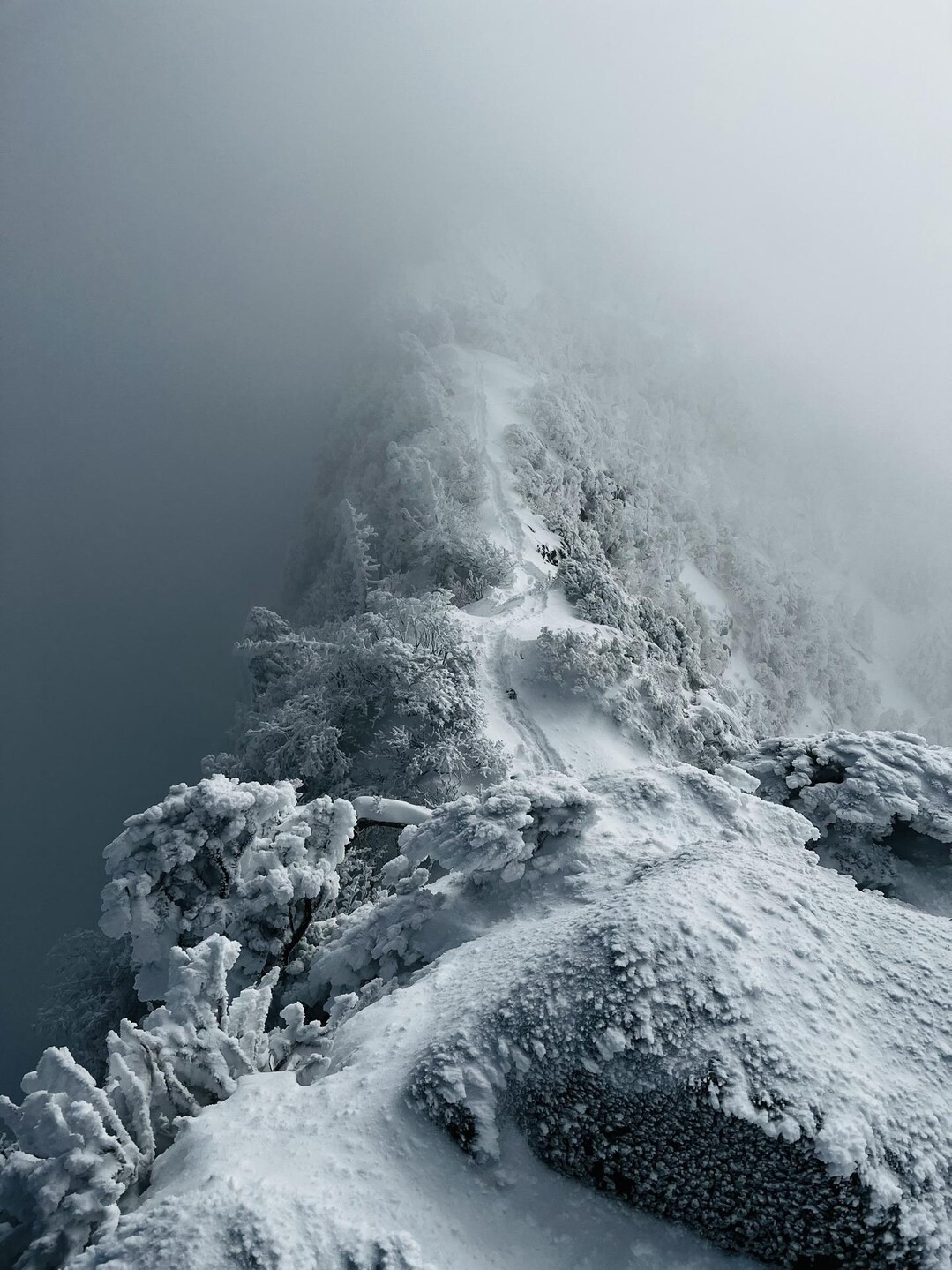 #YAMAP フォトコンテスト2022 ... / Shinjiさんのモーメント | YAMAP / ヤマップ