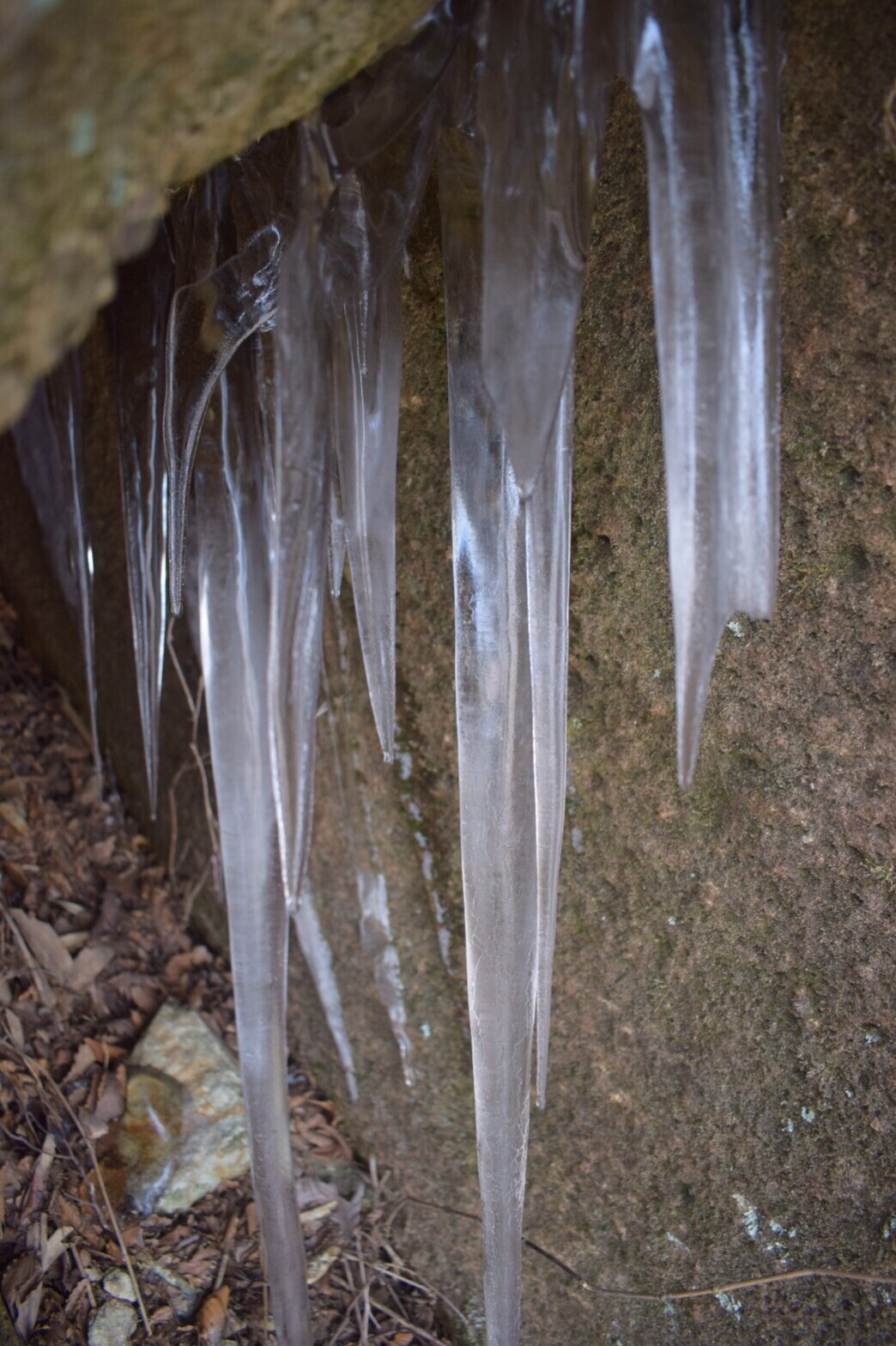 祖母山-2020-01-22 / choroさんの祖母山の活動データ | YAMAP / ヤマップ