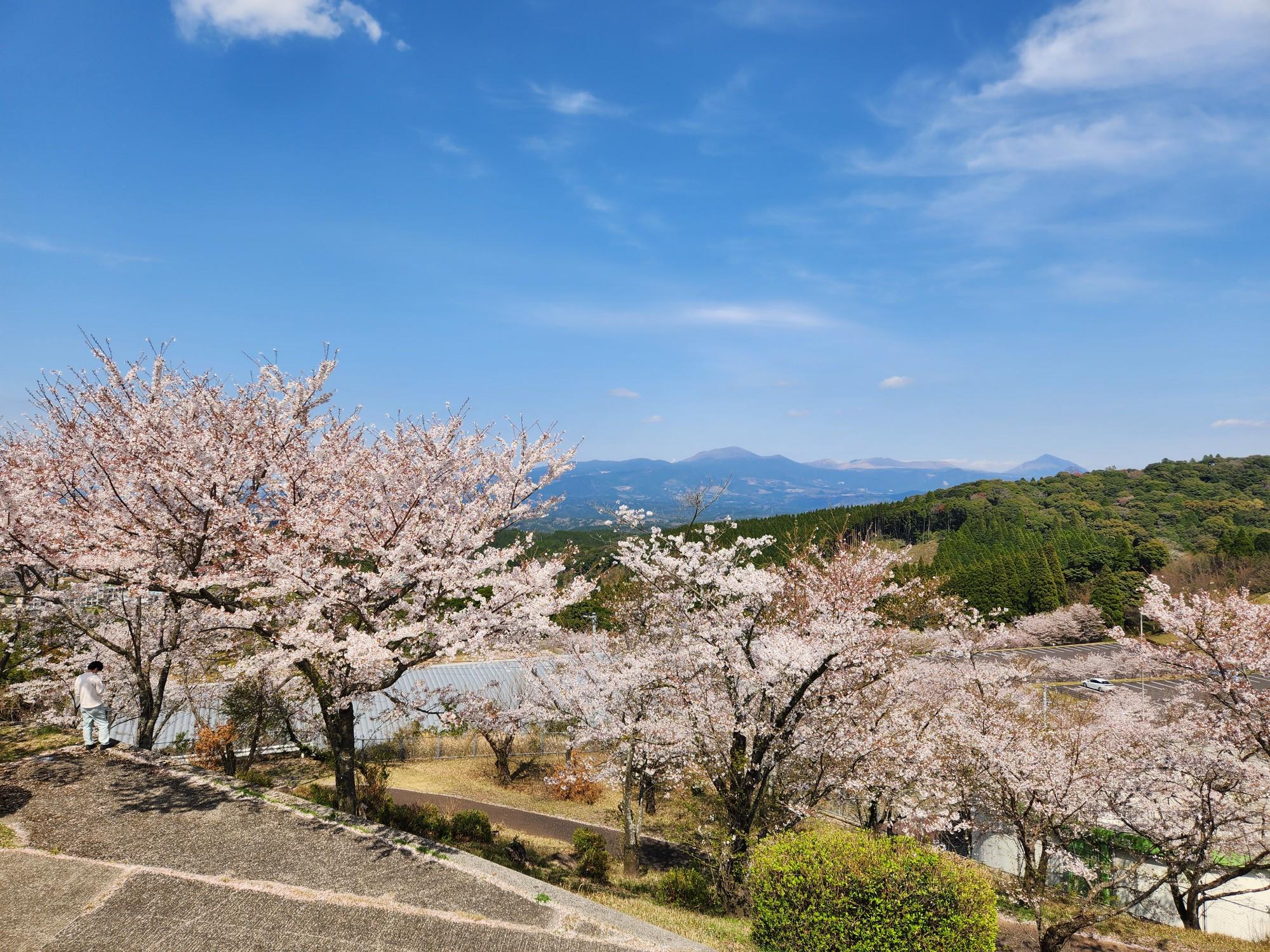上床山 / pankoさんの上床山の活動データ | YAMAP / ヤマップ