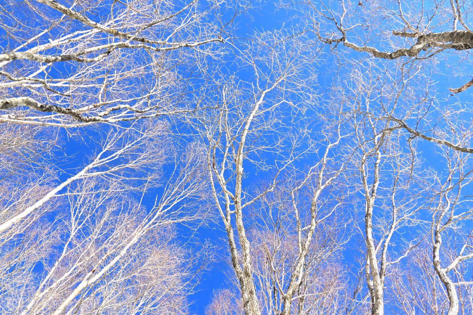 南沢ブルー🩵 https://yama... / かずくん🍥🍜🏕🎣🚴🥾📚📷🥃 🐈🛵🏄さんのモーメント | YAMAP / ヤマップ