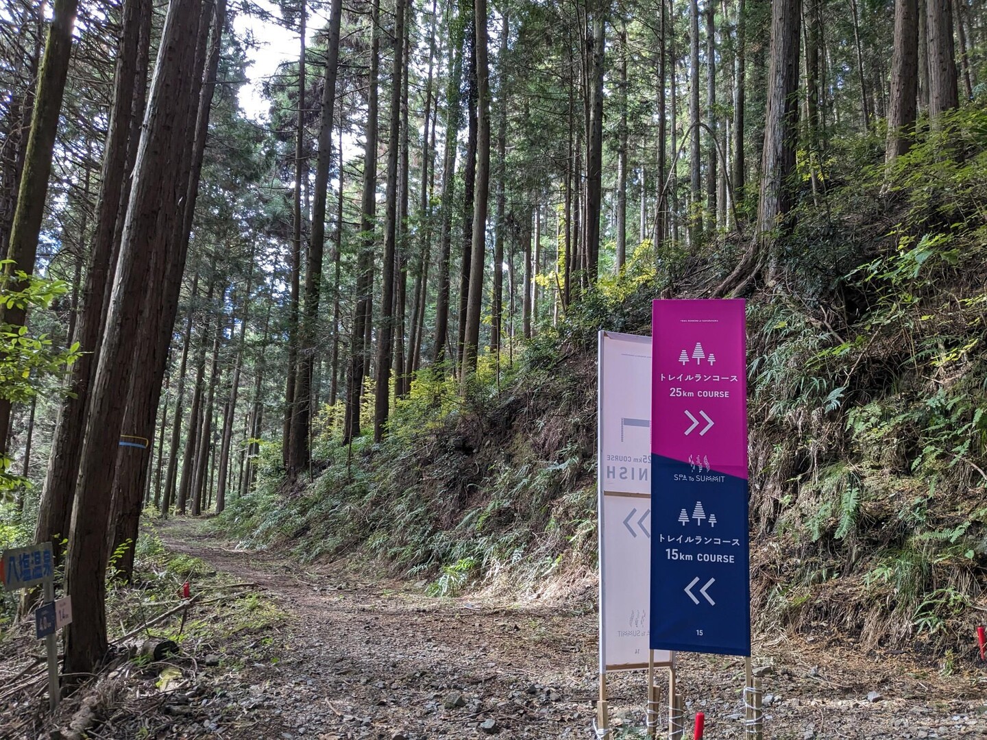 さくらやま25kmトレイルコース / wirryさんの金鑚御嶽山の活動データ | YAMAP / ヤマップ