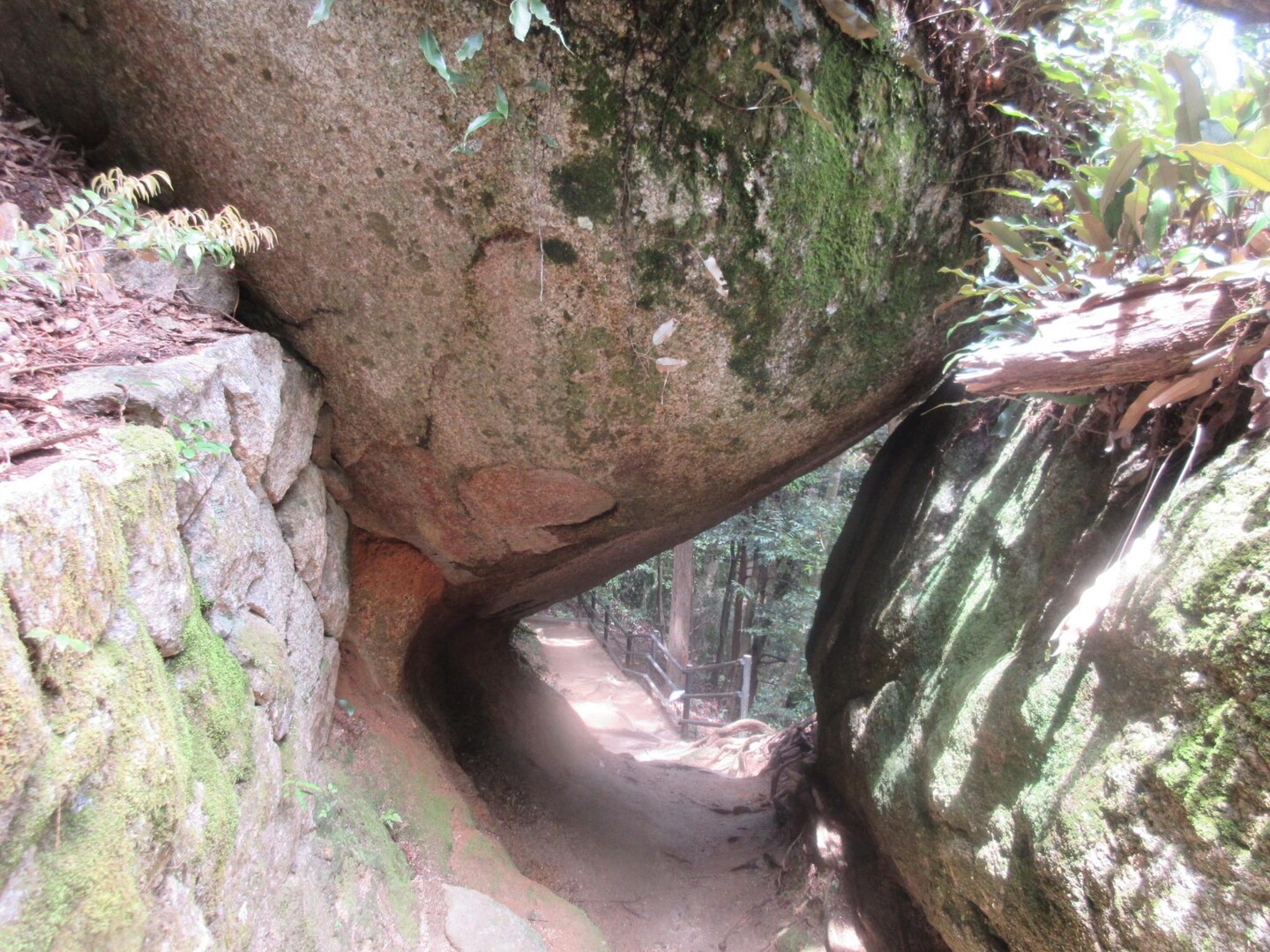 笠置山 / kazzさんの笠置山の活動データ | YAMAP / ヤマップ