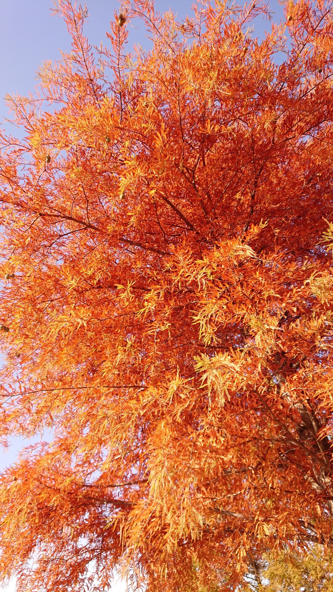 お山はお休み 主人の🚴‍♀️レースの応... / POKAさんのモーメント | YAMAP / ヤマップ