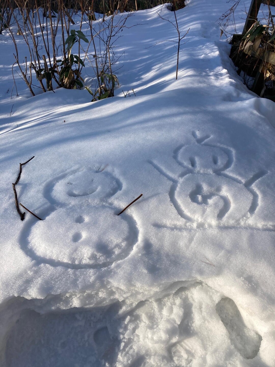 ミート・グッバイ🫡 / NBOX3180さんの遣水観音山・遊泉寺砂山・高野山の活動データ | YAMAP / ヤマップ