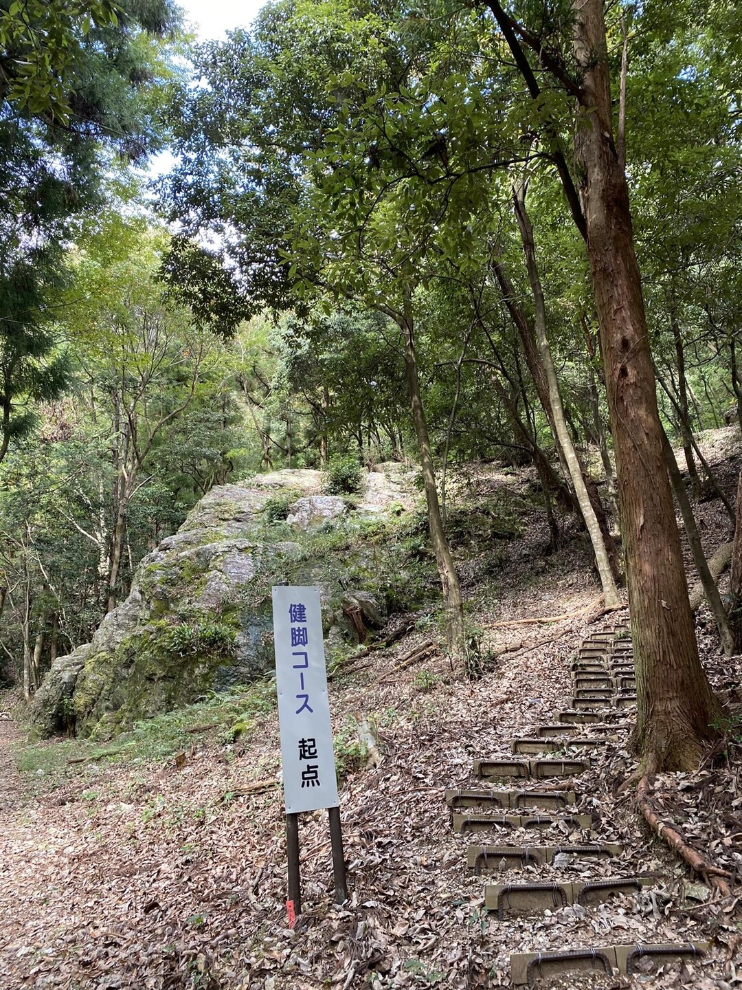 大谷山・野村山 / rinpeさんの大谷山・滝谷山・城ヶ峰の活動データ | YAMAP / ヤマップ