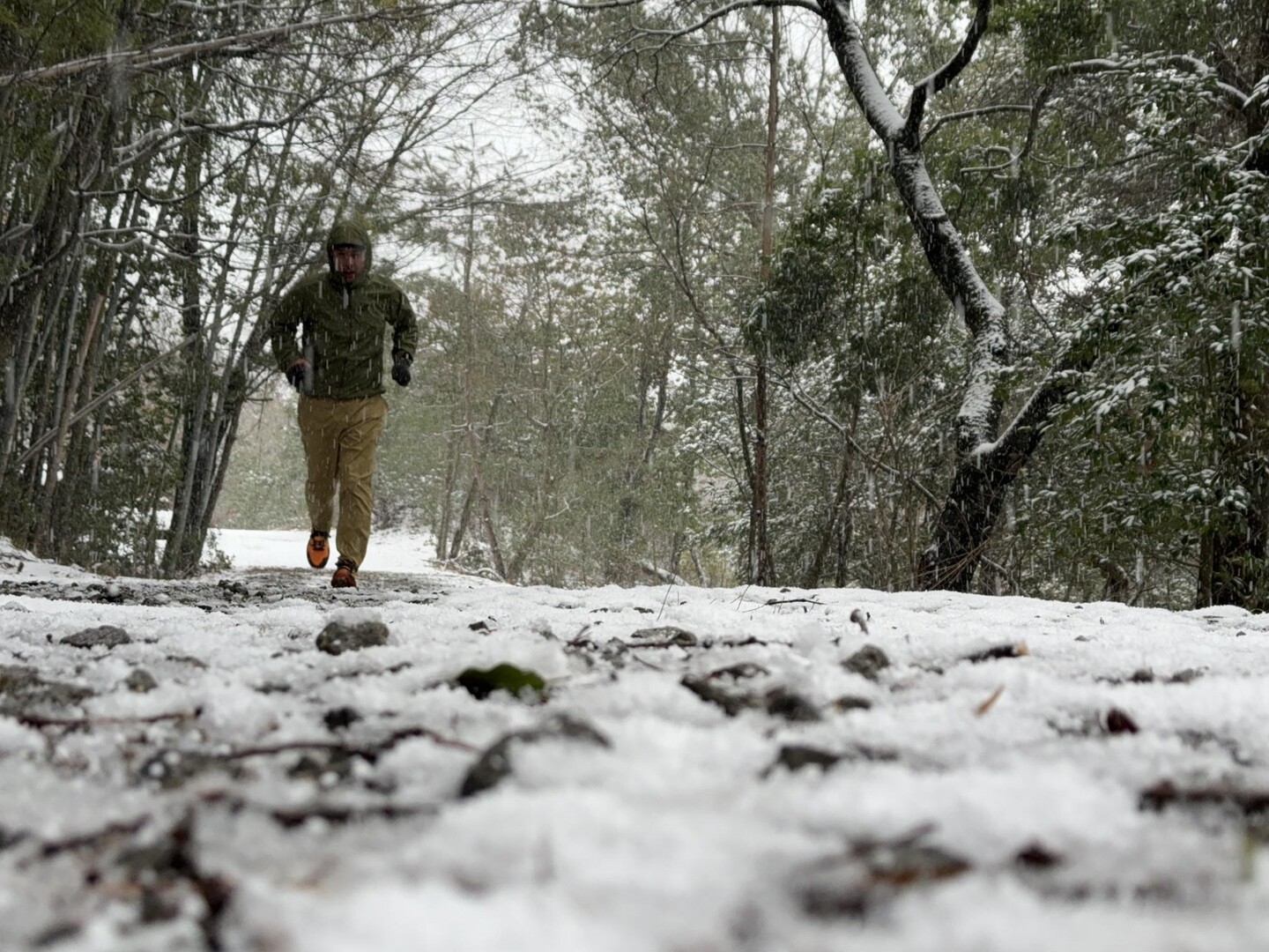 悪天でも、僕には『いこいの森』がある。 / NAOZOさんの小松市の活動データ | YAMAP / ヤマップ