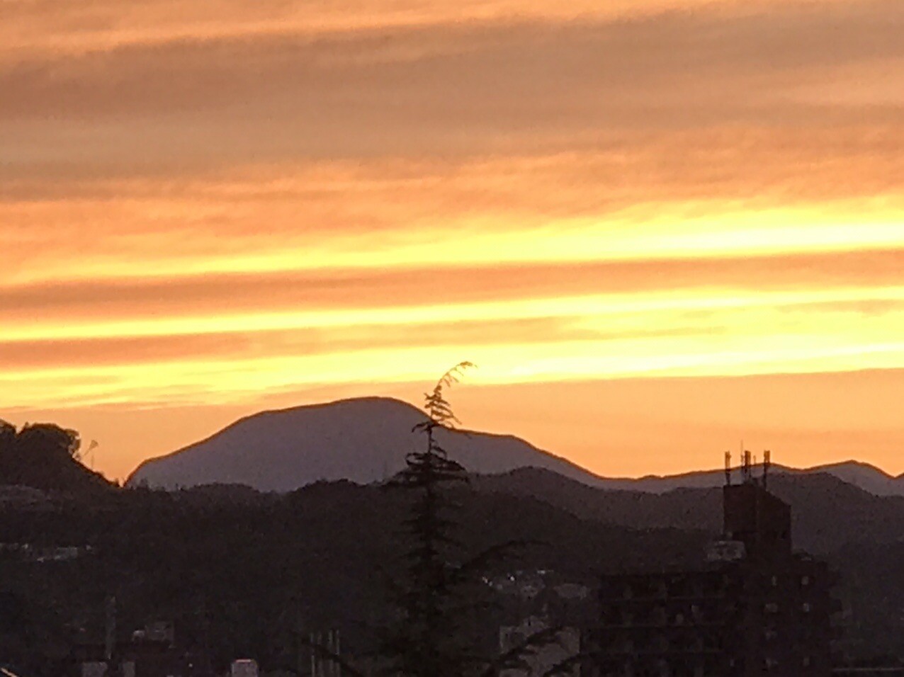 昨日の夕陽に浮かび上がる大東岳と、今朝の... / AL_Maxさんのモーメント | YAMAP / ヤマップ