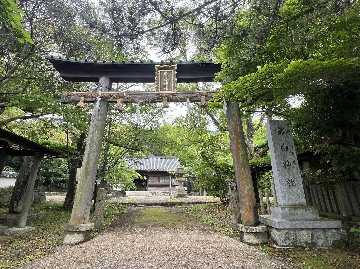 3rd Trail‼️NO PLANで熊野古道走って来たヨォ🏃💨 / タニゾーンさんの熊野古道 紀伊路①（山中渓駅～湯浅駅）の活動データ | YAMAP / ヤマップ