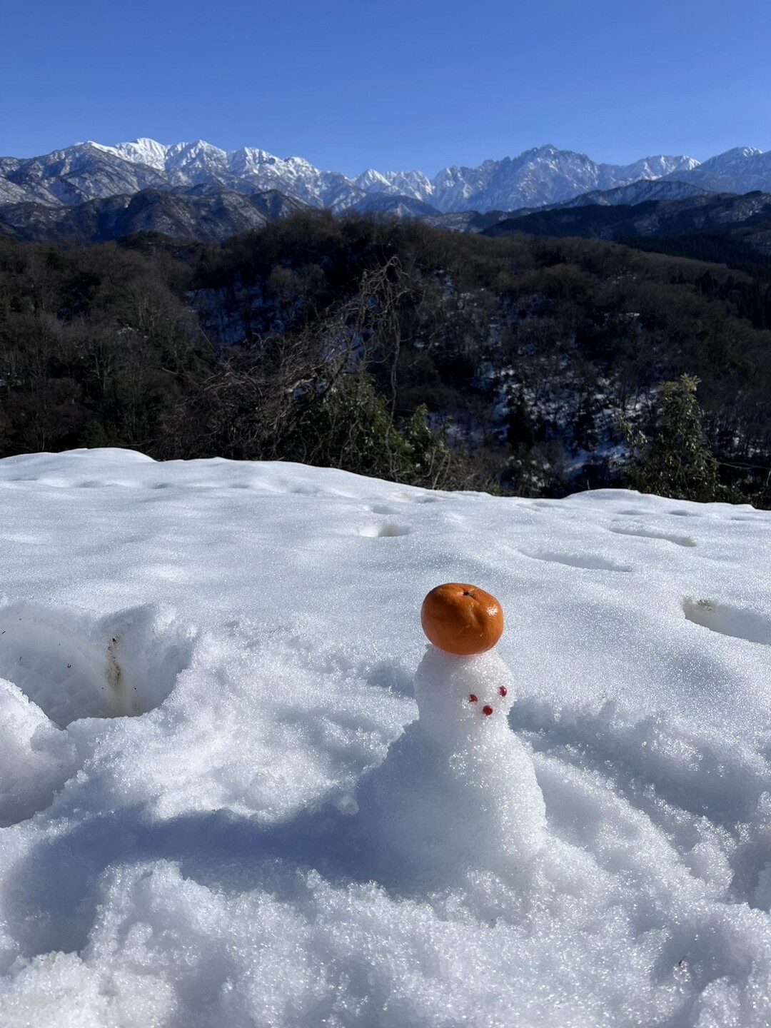 登り納め〜長女と城ヶ平山 / mierinさんの城ヶ平山・ハゲ山・峠山の活動データ | YAMAP / ヤマップ