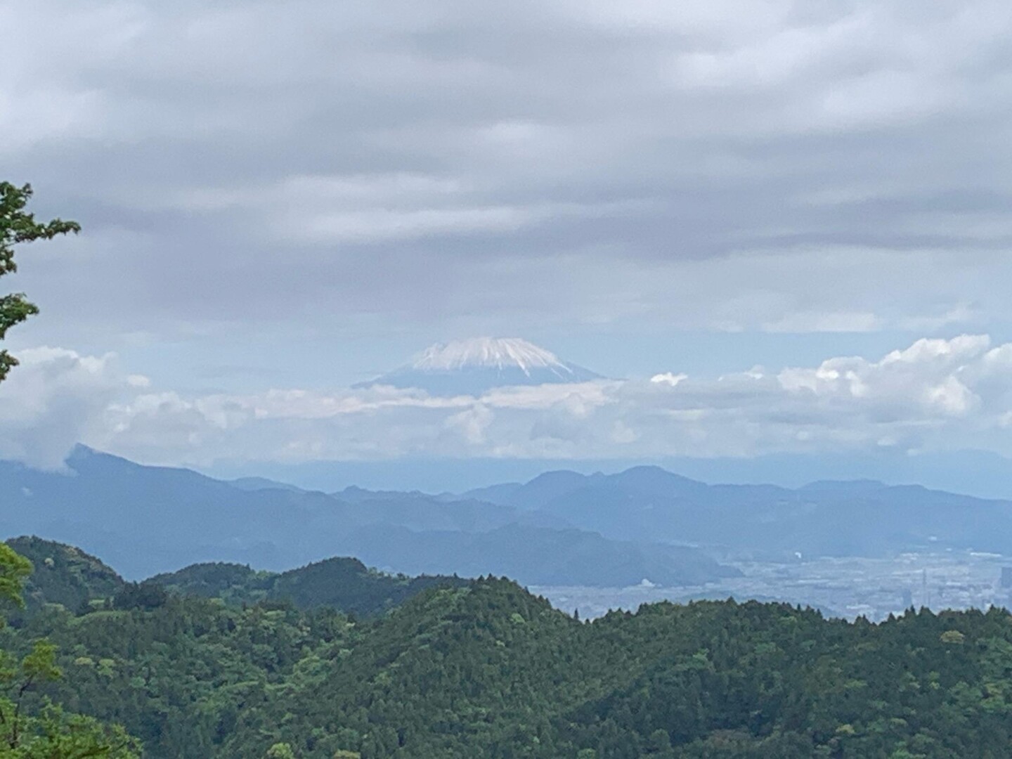 高草山(東峰)・高草山（西峰）・大ベラ山・満観峰 / ma-tinさんの焼津アルプス（高草山・満観峰・花沢山）・徳願寺山の活動データ | YAMAP / ヤマップ