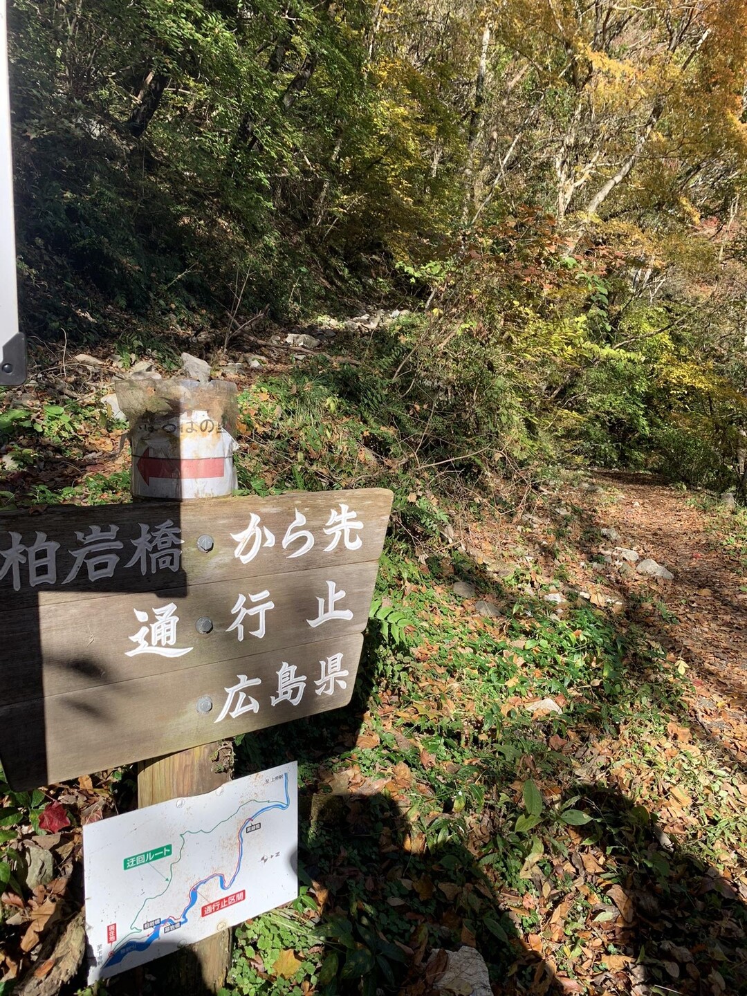 ktakuさんの投稿したフィールドメモ | YAMAP / ヤマップ