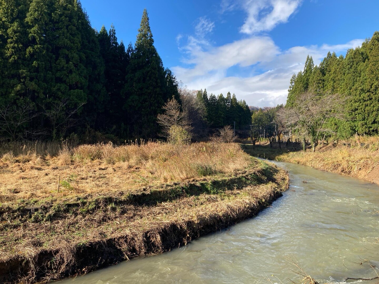県道200号線（正善寺高田線）残区間トレ / むぎさんの春日山の活動データ | YAMAP / ヤマップ
