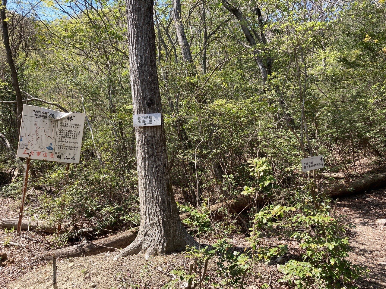 maaasanさんの投稿したフィールドメモ | YAMAP / ヤマップ