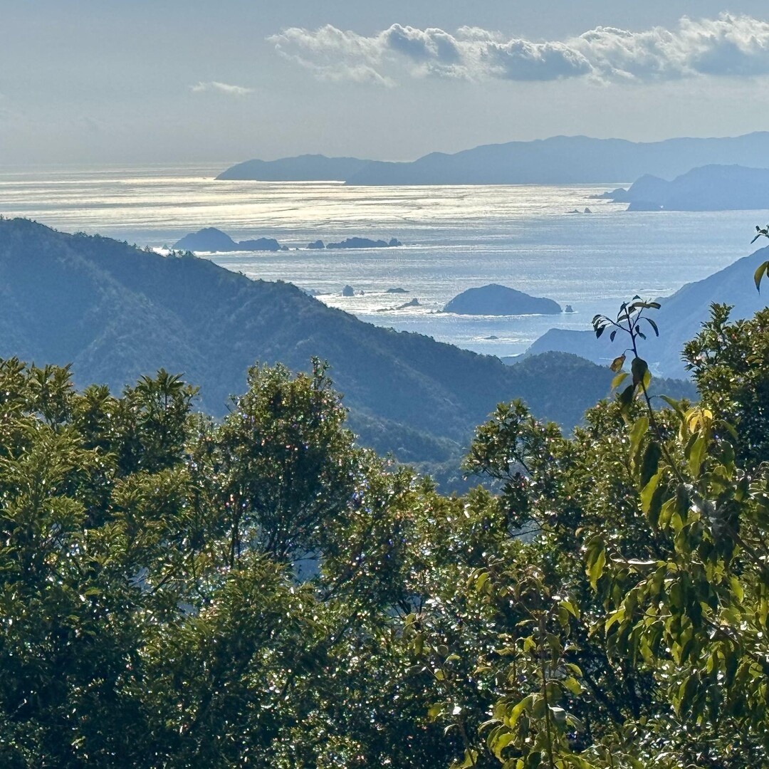 20250119大河内山〜有地山 / In the wind.iseさんのウォーキングの活動データ | YAMAP / ヤマップ