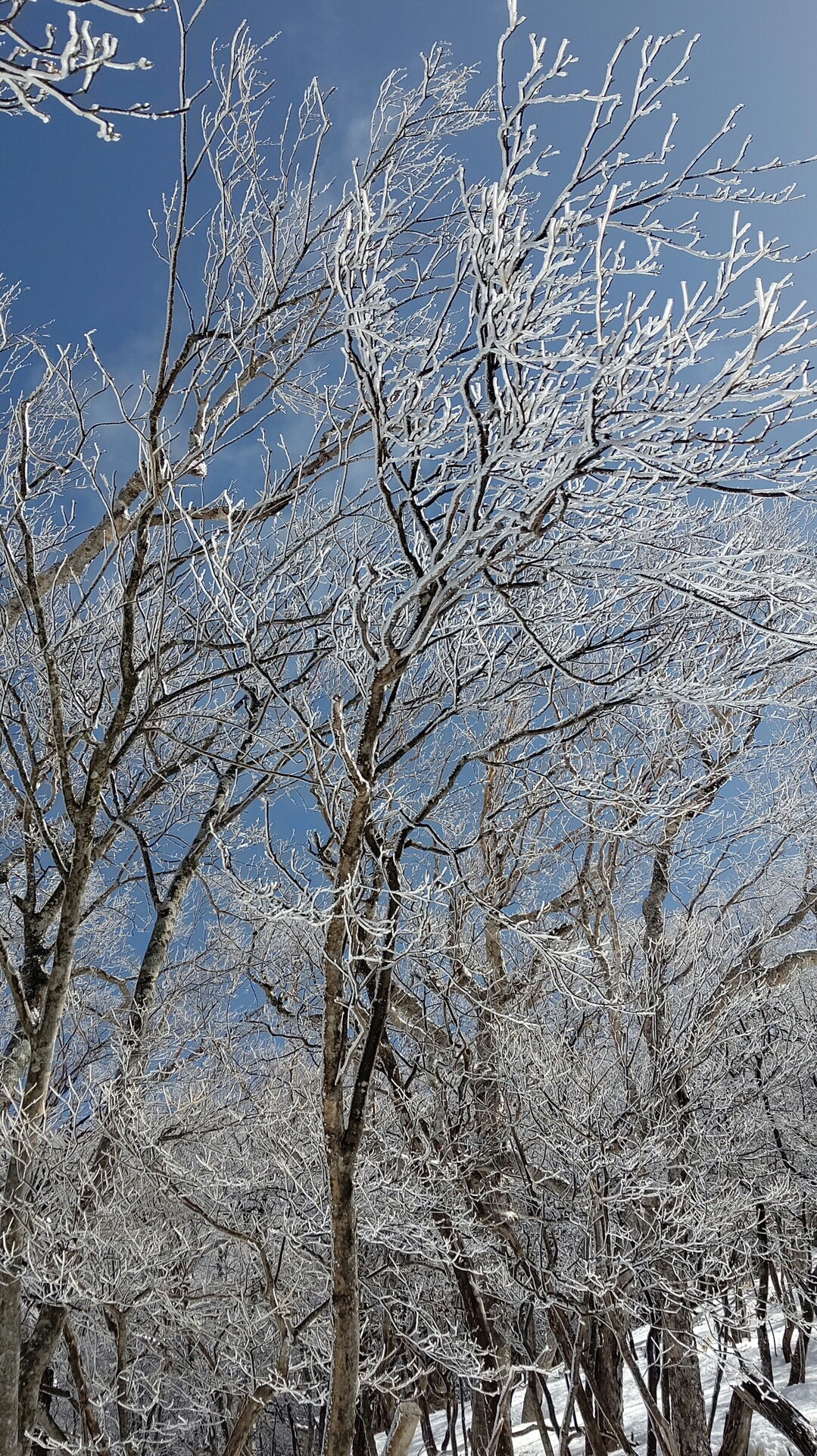 黒檜山 駒ヶ岳 / moenoeさんの赤城山・黒檜山・荒山の活動日記 | YAMAP / ヤマップ