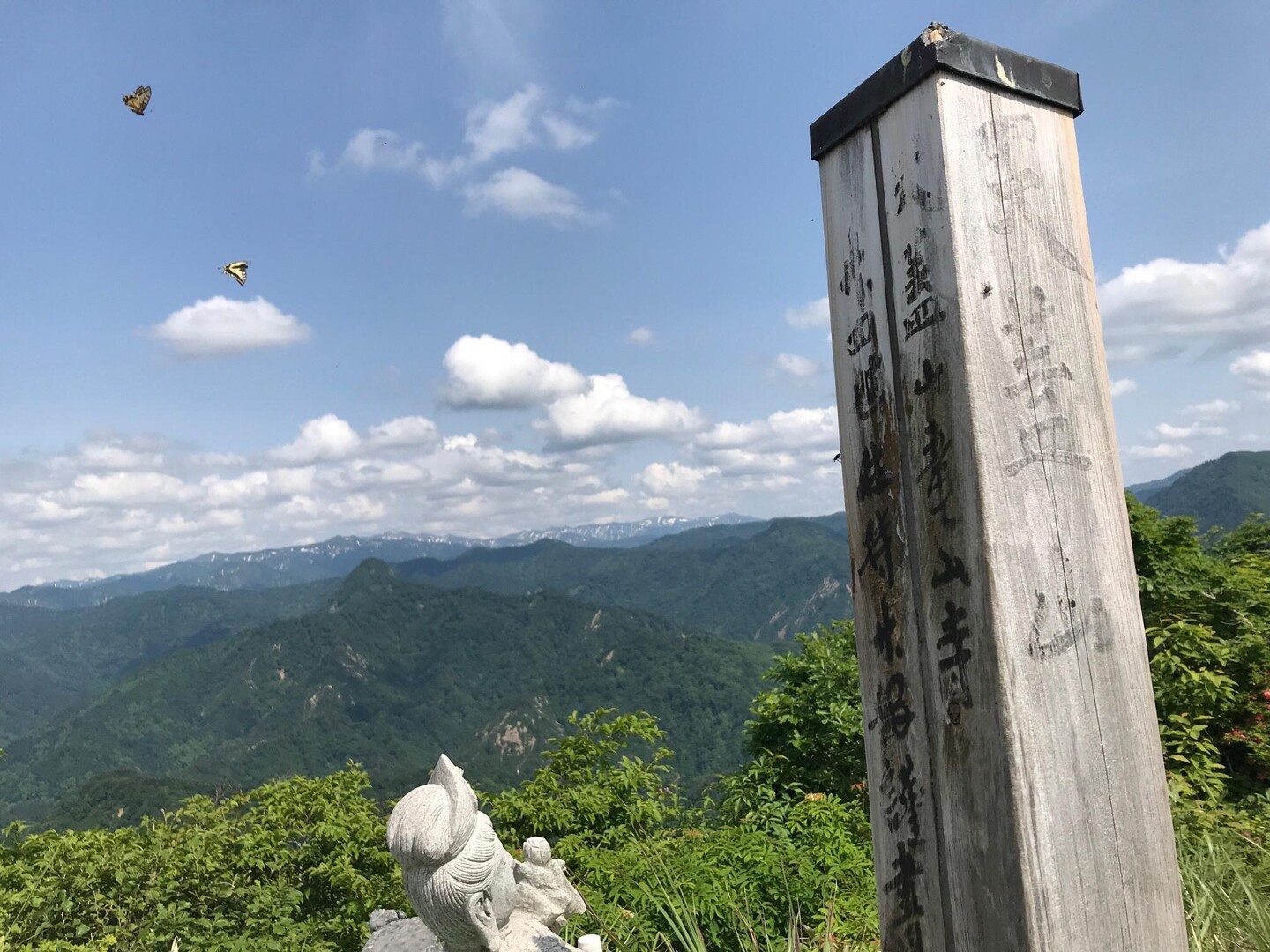 天蓋山！ / sirokumasannさんの天蓋山の活動日記 | YAMAP / ヤマップ