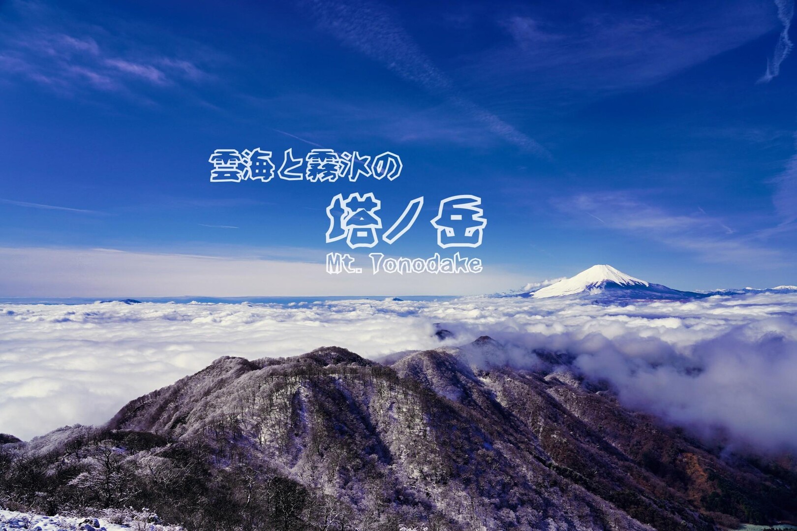 雲海☁と霧氷 の塔ノ岳⛰️ / Riot Kさんの塔ノ岳・丹沢山・蛭ヶ岳の活動データ | YAMAP / ヤマップ