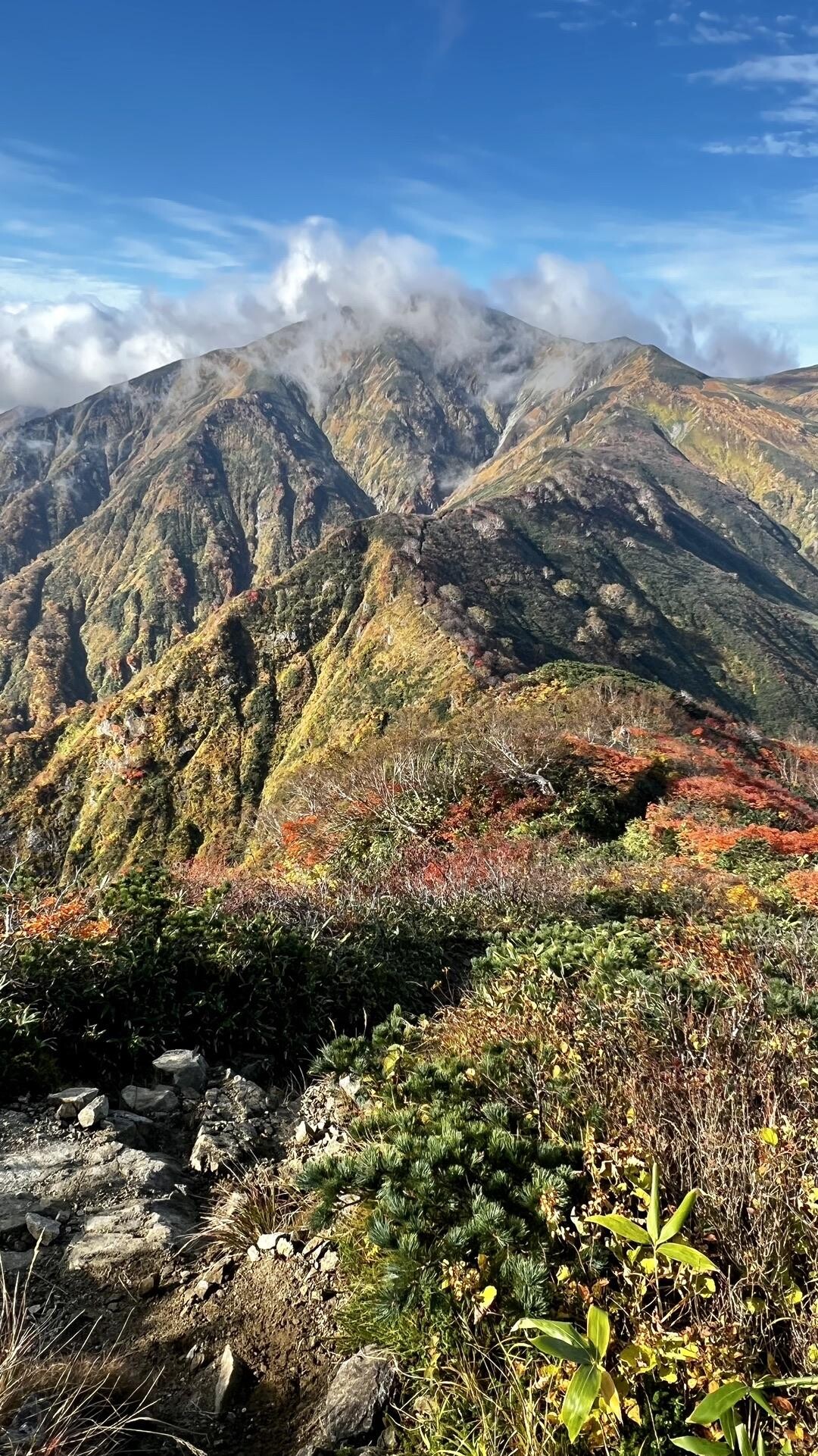 大朝日岳🍁🍁🍁 / Bii&Guunさんのモーメント | YAMAP / ヤマップ