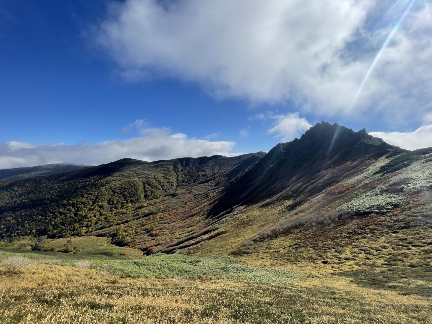 アンギラスvsニセイカウシュッペ山vs僕。怪獣大戦争。 / hiroさんのニセイカウシュッペ山・平山・朝陽山の活動データ | YAMAP / ヤマップ