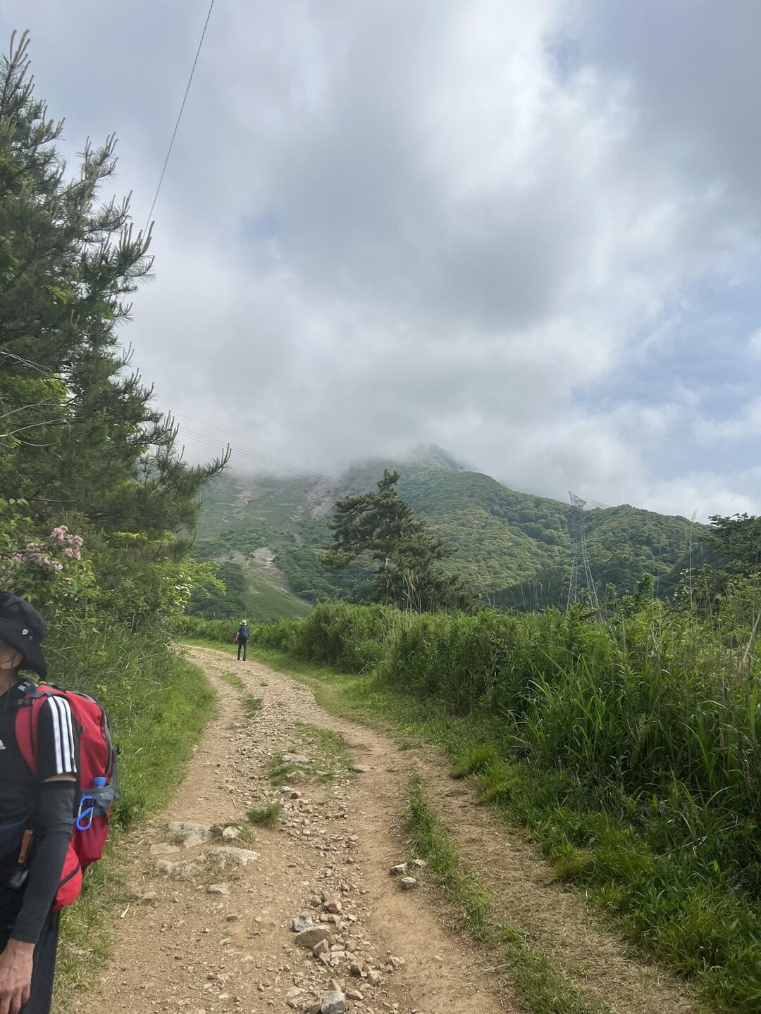 徳蔵山・伊吹山 / かすぴーさんの伊吹山・伊吹高原・御座峰の活動データ | YAMAP / ヤマップ