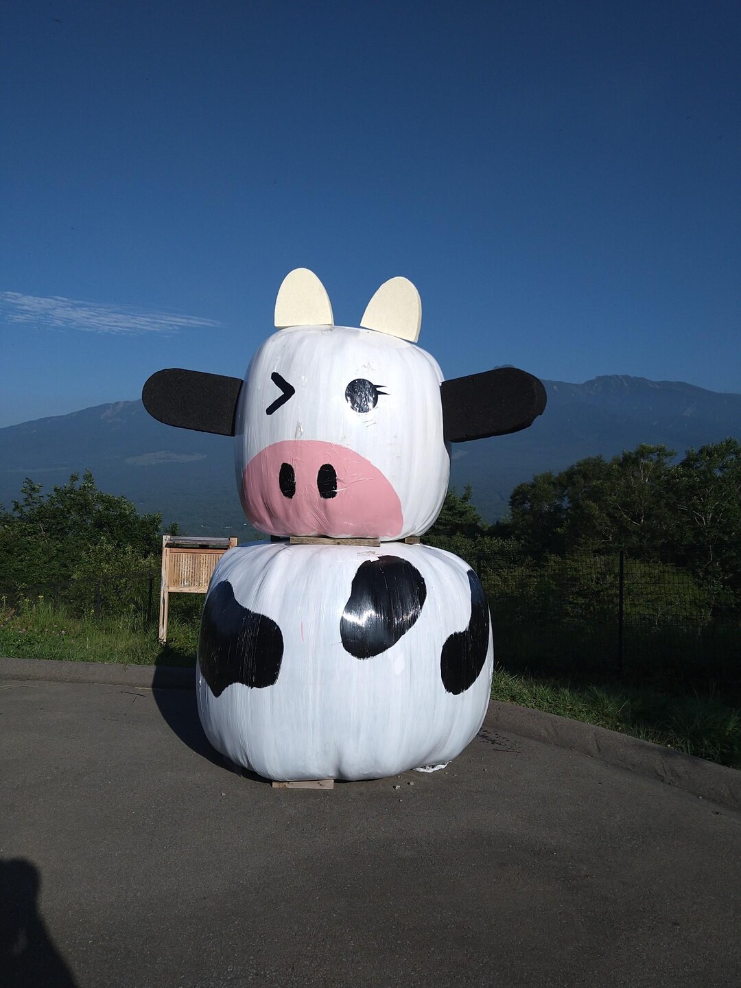 飯盛山！🍚 / nyahoさんの飯盛山の活動データ | YAMAP / ヤマップ