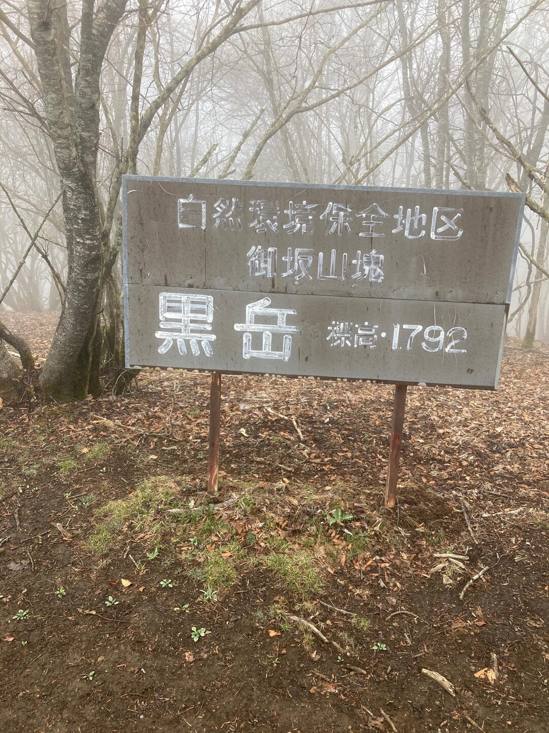 コブ岩ノ頭・黒岳・観音平山・御坂山 / explorerさんの三ッ峠山・本社ヶ丸・鶴ヶ鳥屋山の活動データ | YAMAP / ヤマップ