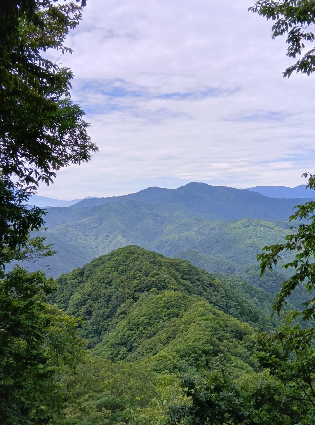 御前山〜三頭山 / nori 04さんの大岳山・御岳山・御前山の活動データ | YAMAP / ヤマップ