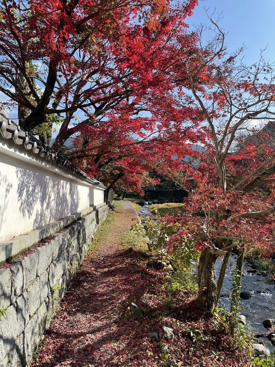 今日は、秋月城跡を散策してきました☺️ ... / みやぴろさんのモーメント | YAMAP / ヤマップ