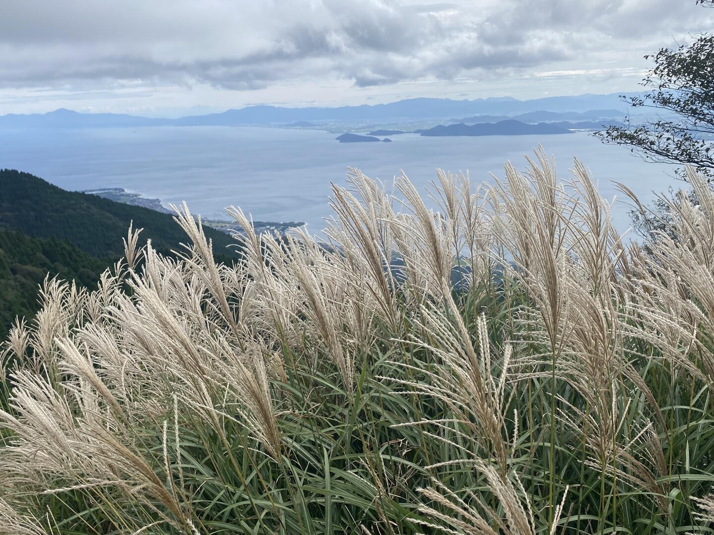 霊仙山〜蓬莱山まで / motusan さんの比良山地・武奈ヶ岳・釈迦岳の活動データ | YAMAP / ヤマップ