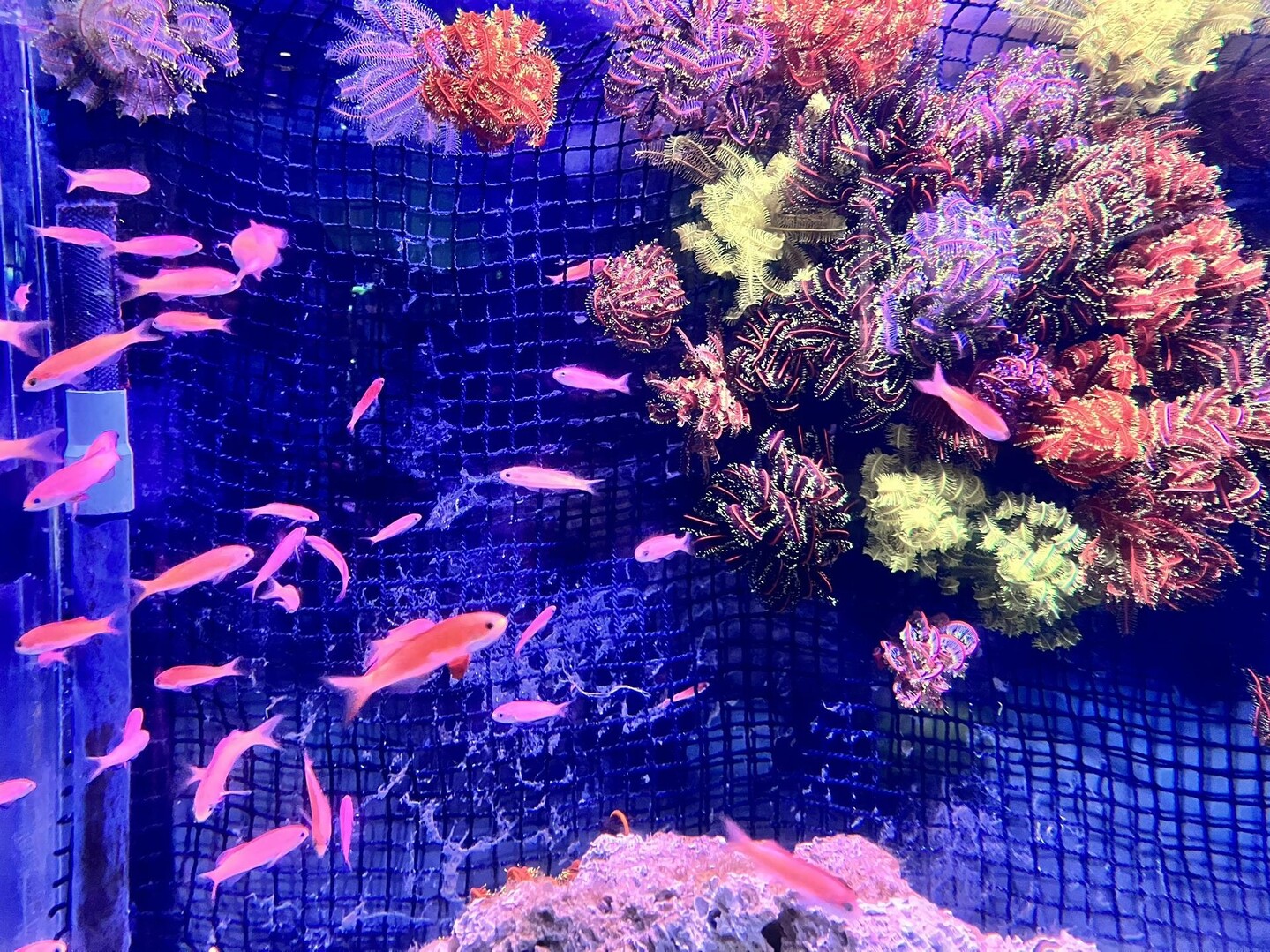 本日は観光day ️ 梅雨入りしたけど今... / Rさんのモーメント | YAMAP / ヤマップ