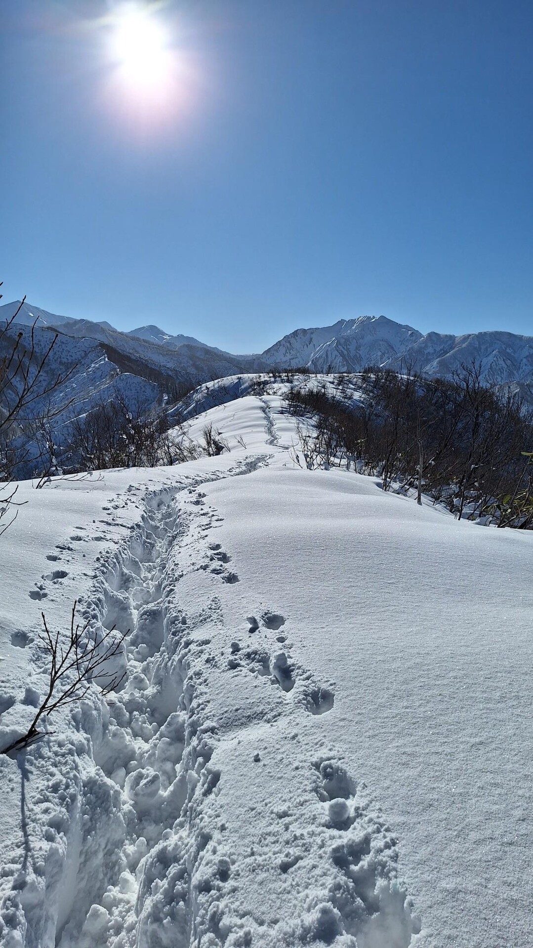 大力山 / うんぽぽさんの大力山・黒禿の頭・笠倉山の活動データ | YAMAP / ヤマップ