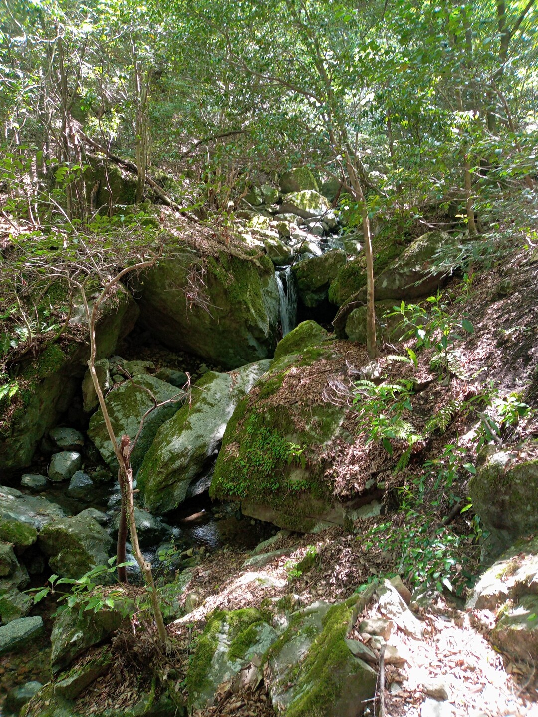 Osa-n43さんの投稿したフィールドメモ | YAMAP / ヤマップ