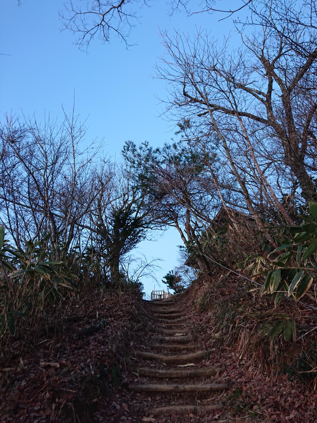 鬼ヶ岳 / TKさんの鬼ヶ岳の活動データ | YAMAP / ヤマップ