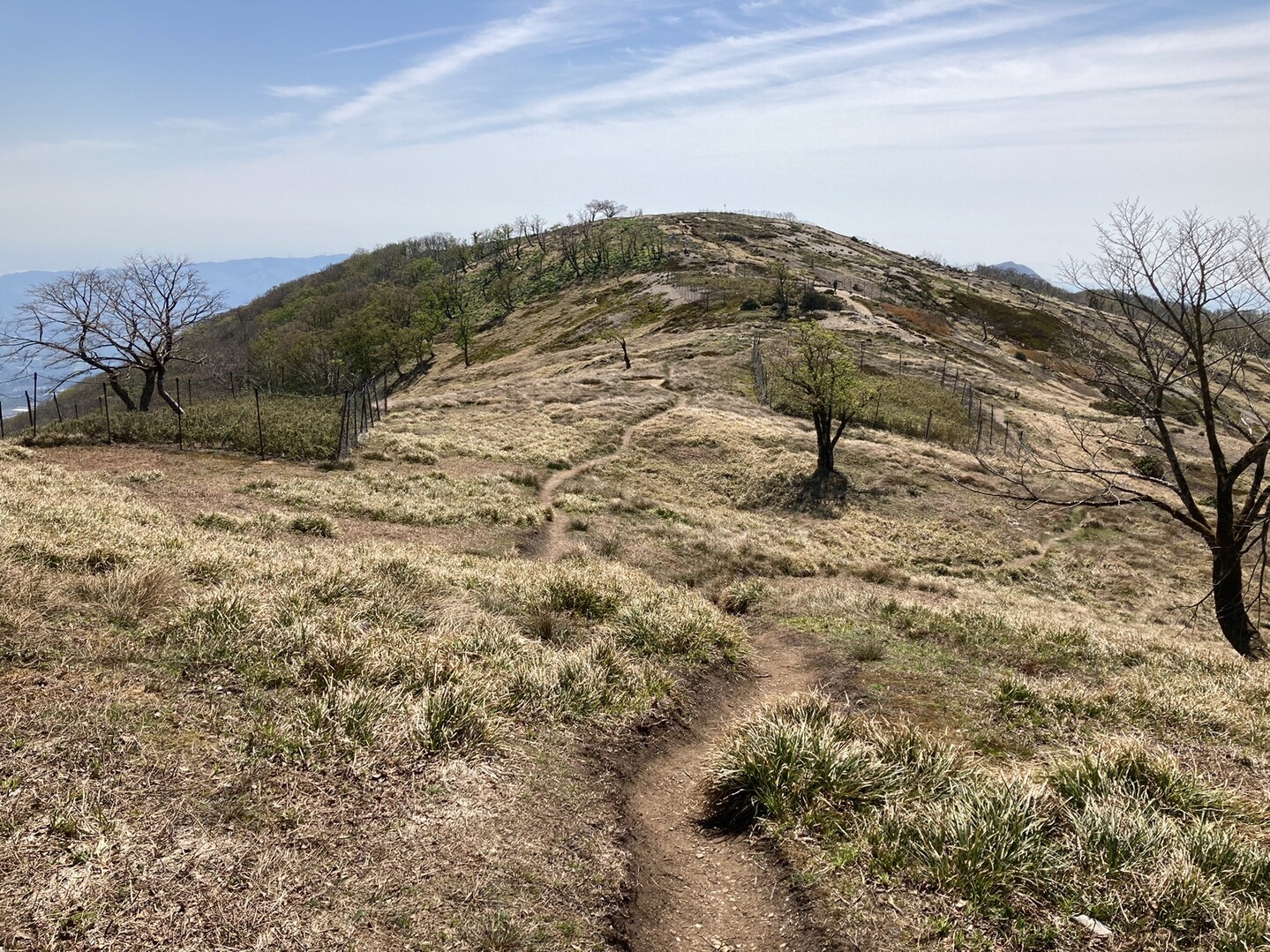 リス🐿に会いに御池岳へ / akariさんの藤原岳・御池岳の活動データ | YAMAP / ヤマップ
