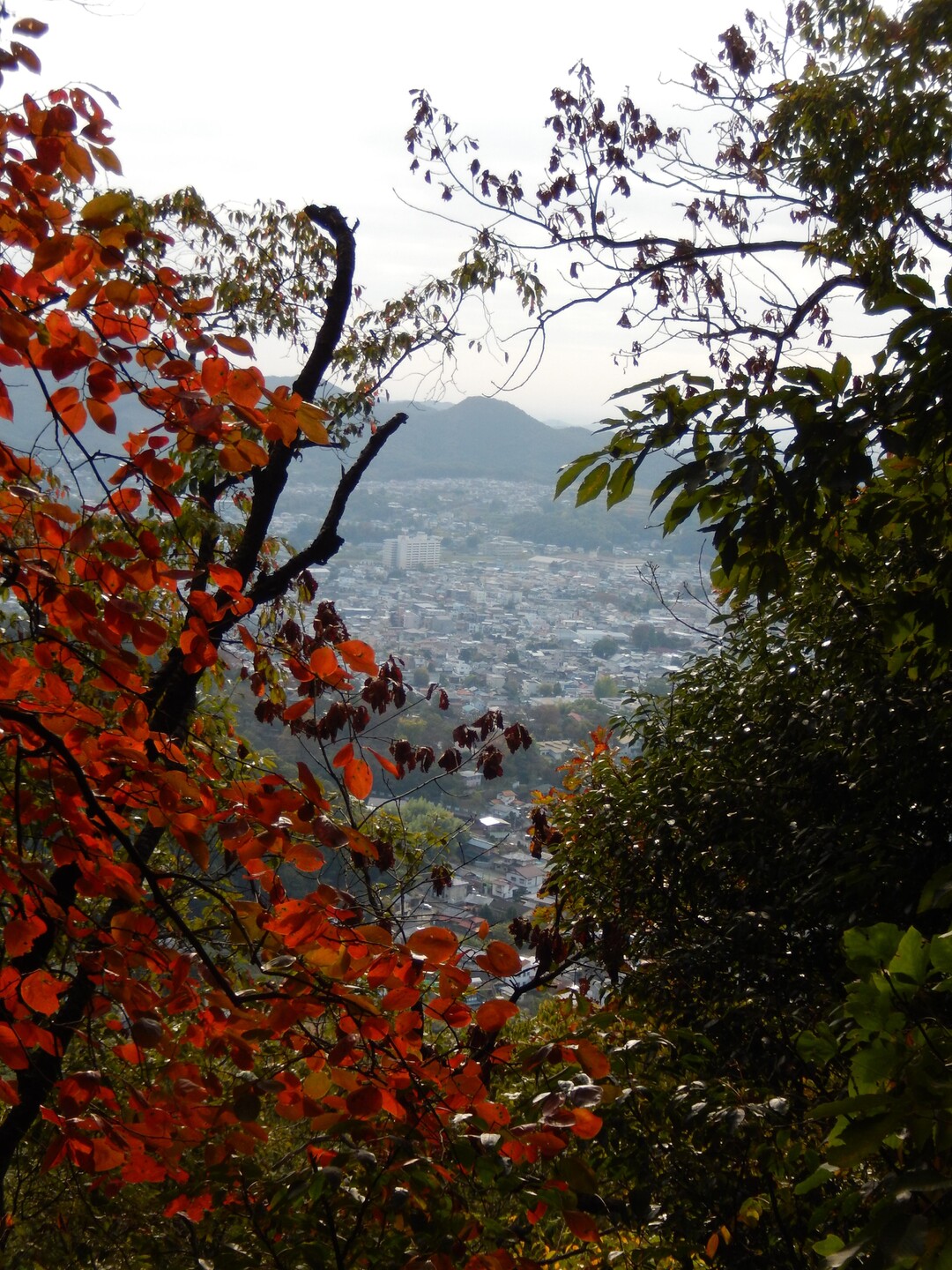 連休吾妻はPM活動と共に / ダンさんの鳴神山・吾妻山の活動データ | YAMAP / ヤマップ