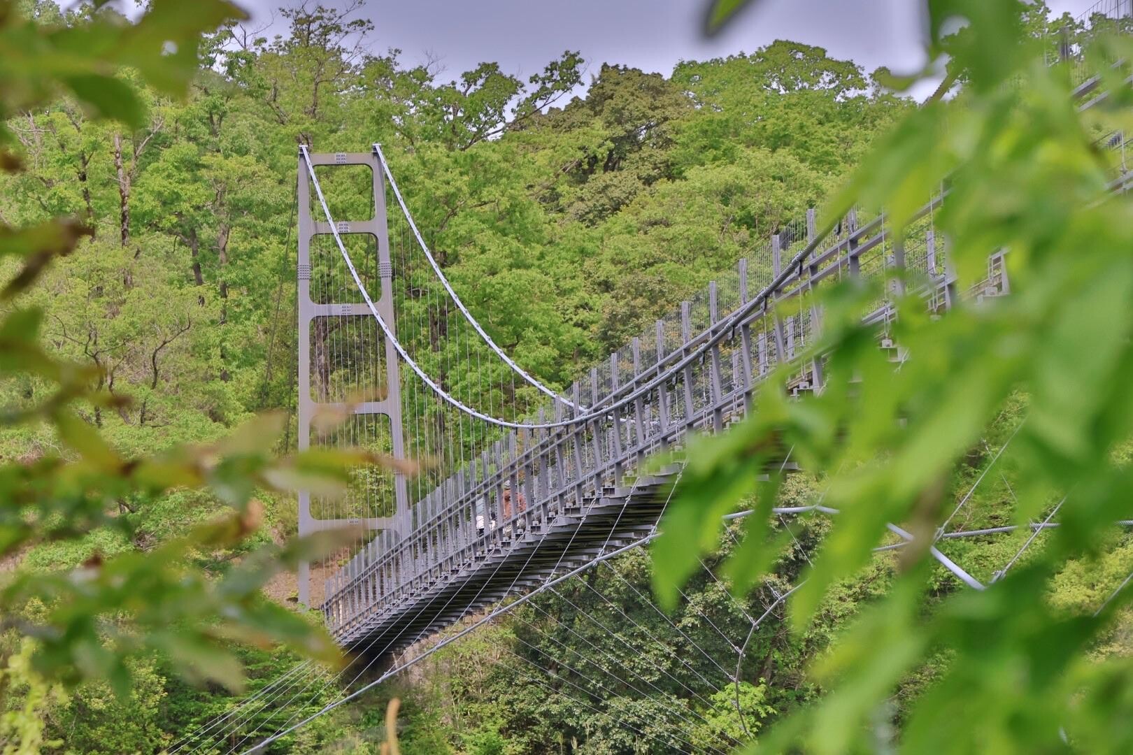 奥出雲 鬼の舌震👹´- 実家に帰っ... / Moeさんのモーメント | YAMAP / ヤマップ