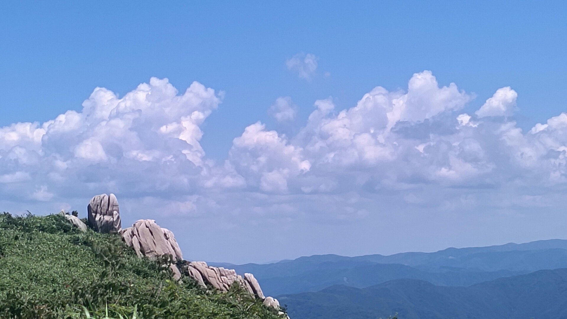 岩籠山・夕暮山 / mu-3さんの岩籠山の活動データ | YAMAP / ヤマップ