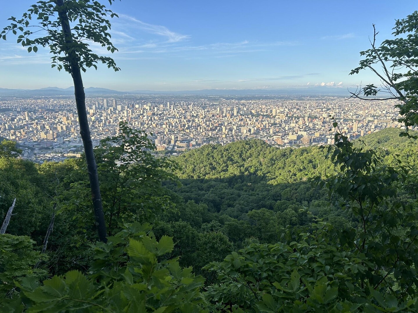 藻岩山TR / ziziさんの藻岩山の活動データ | YAMAP / ヤマップ
