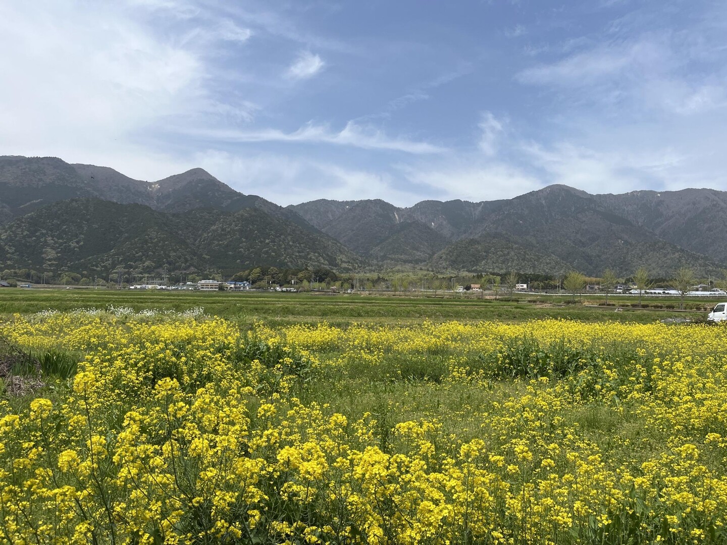 武奈ヶ岳スピードハイク / AJ🐬さんの比良山地・武奈ヶ岳・釈迦岳の活動データ | YAMAP / ヤマップ