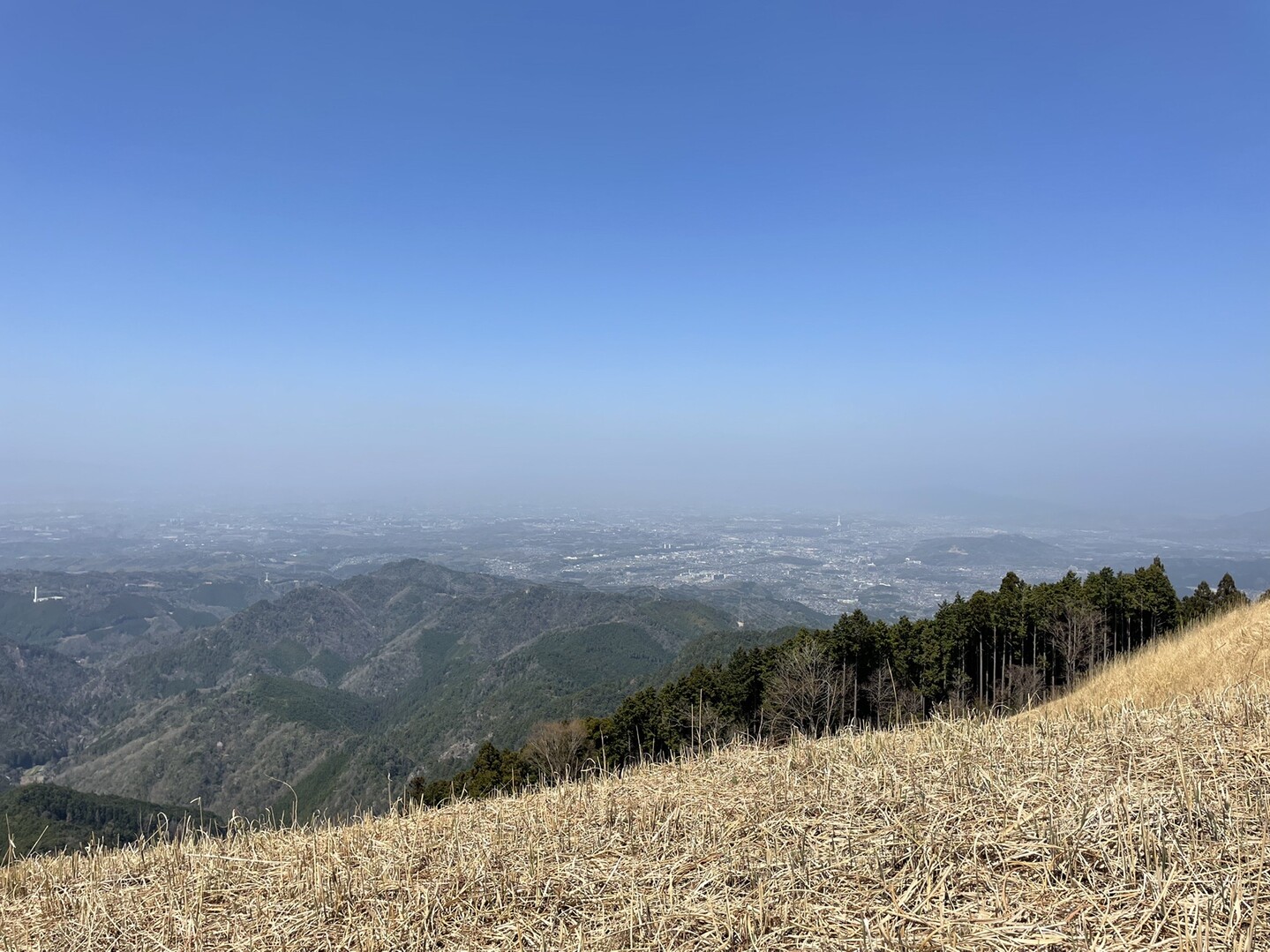 1泊2日でダイトレ全縦走やっと岩湧山到着... / RIKU🐕‍🦺 &Jun さんのモーメント | YAMAP / ヤマップ