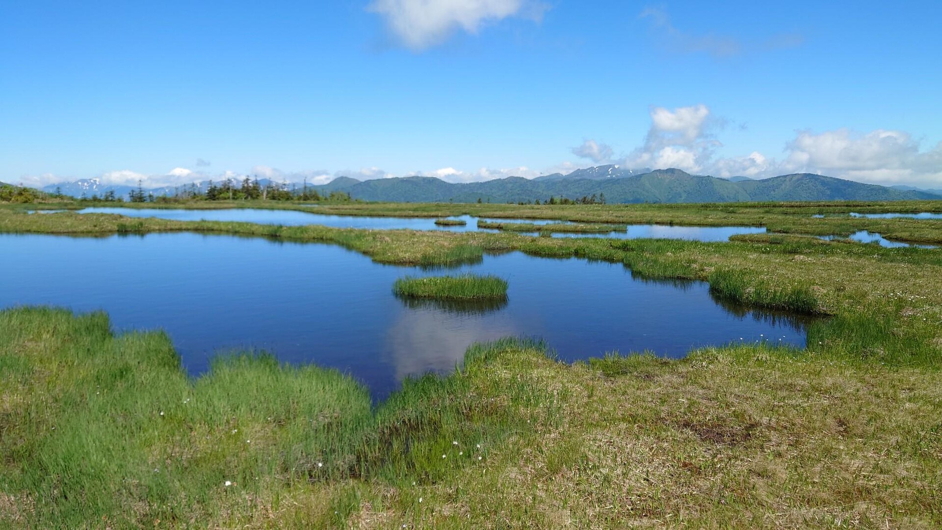 尾瀬 アヤメ平 / fuさんの尾瀬・燧ヶ岳の活動データ | YAMAP / ヤマップ