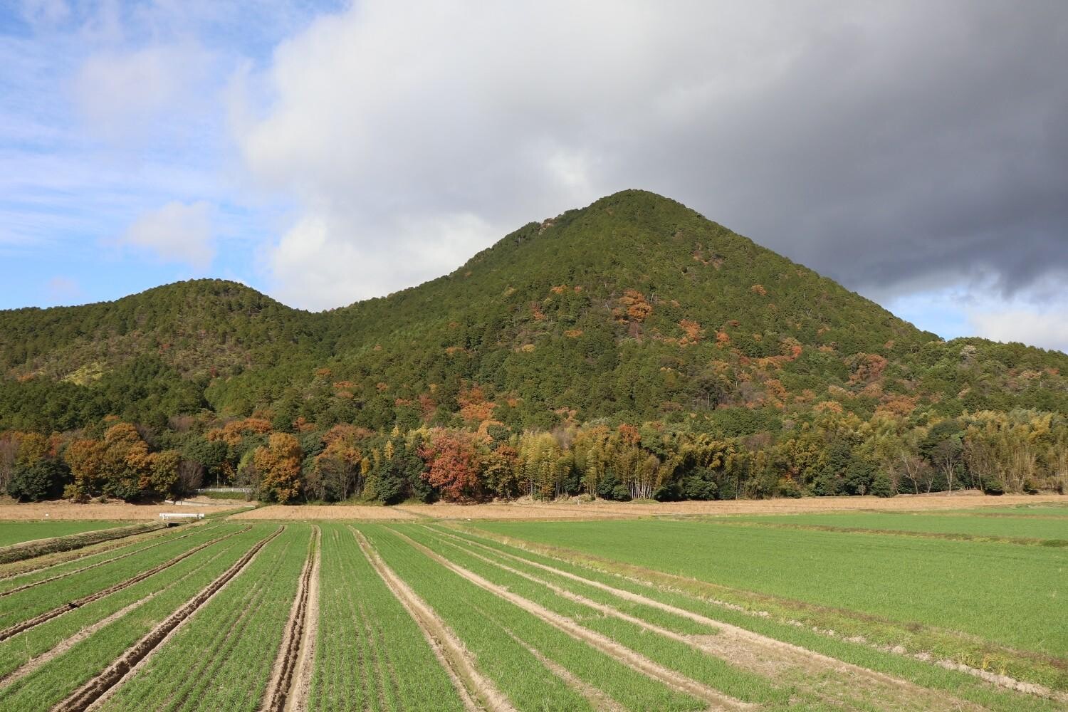 三上山(近江富士) / omifuji4さんの三上山・鏡山の活動データ | YAMAP / ヤマップ