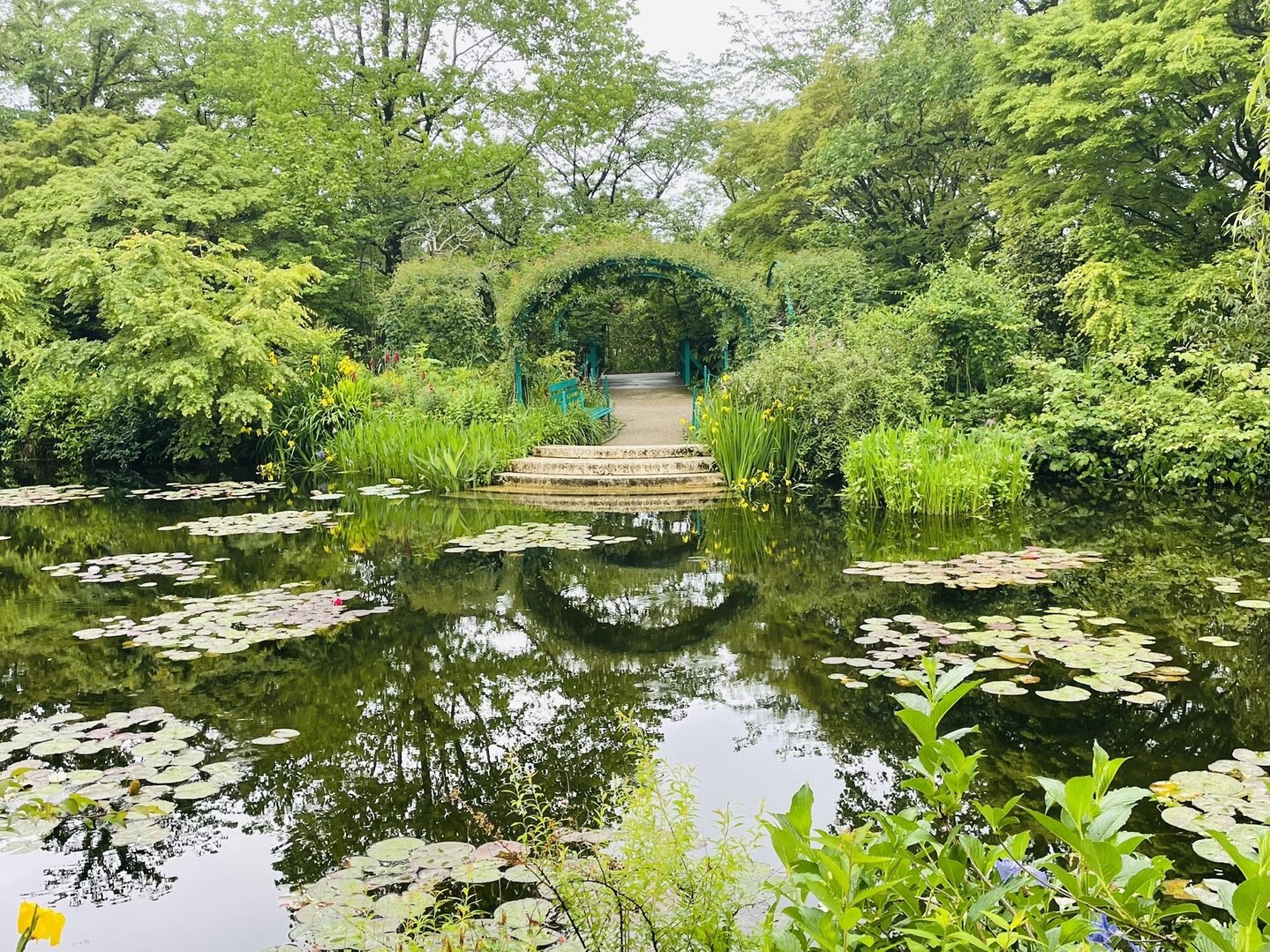 モネの庭(高知) / brocken_sさんのモーメント | YAMAP / ヤマップ