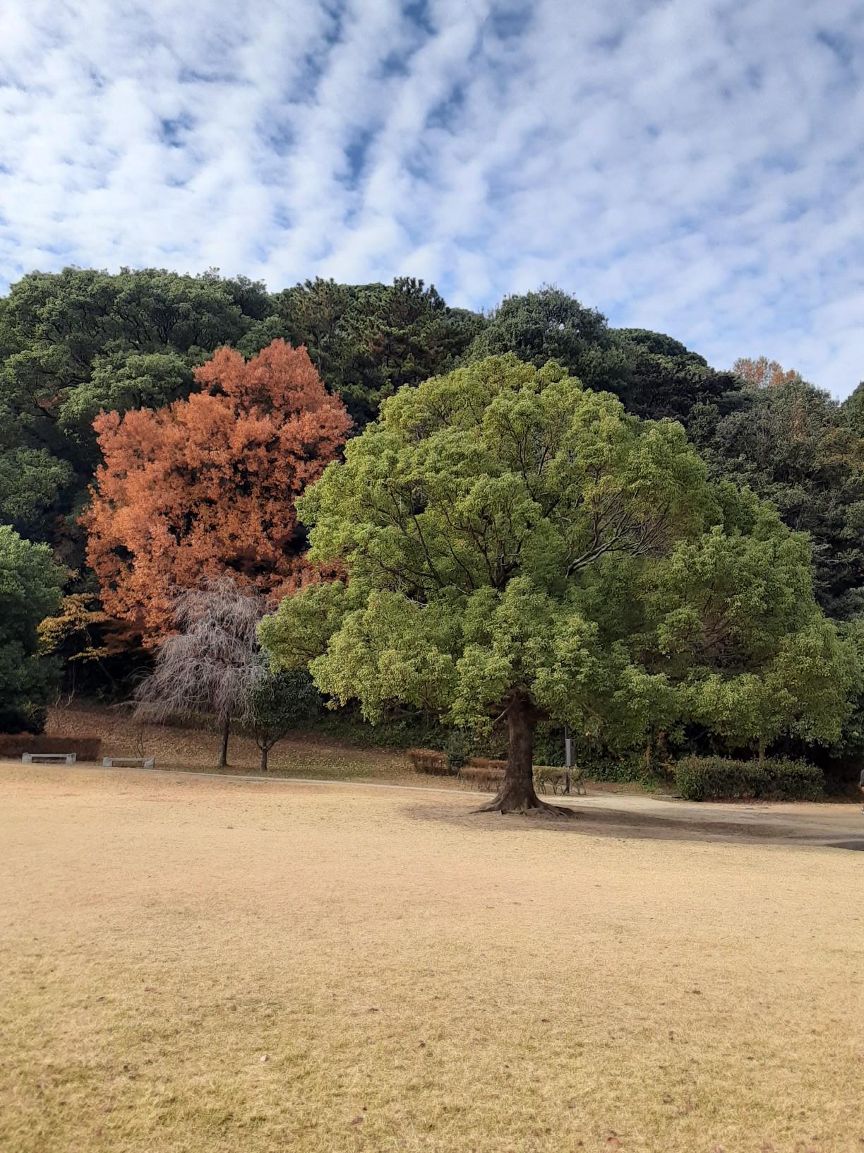 初めてのYAMAPです😚先ずは小牧山 ... / ロイさんのモーメント | YAMAP / ヤマップ