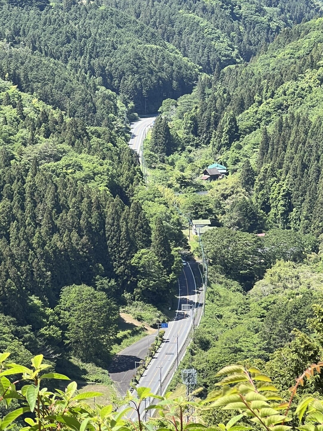 小瀬富士・小舟富士・砂羅向山周回（坂木コース） 2024-5-18 / blueさんの小舟富士・小瀬富士の活動データ | YAMAP / ヤマップ