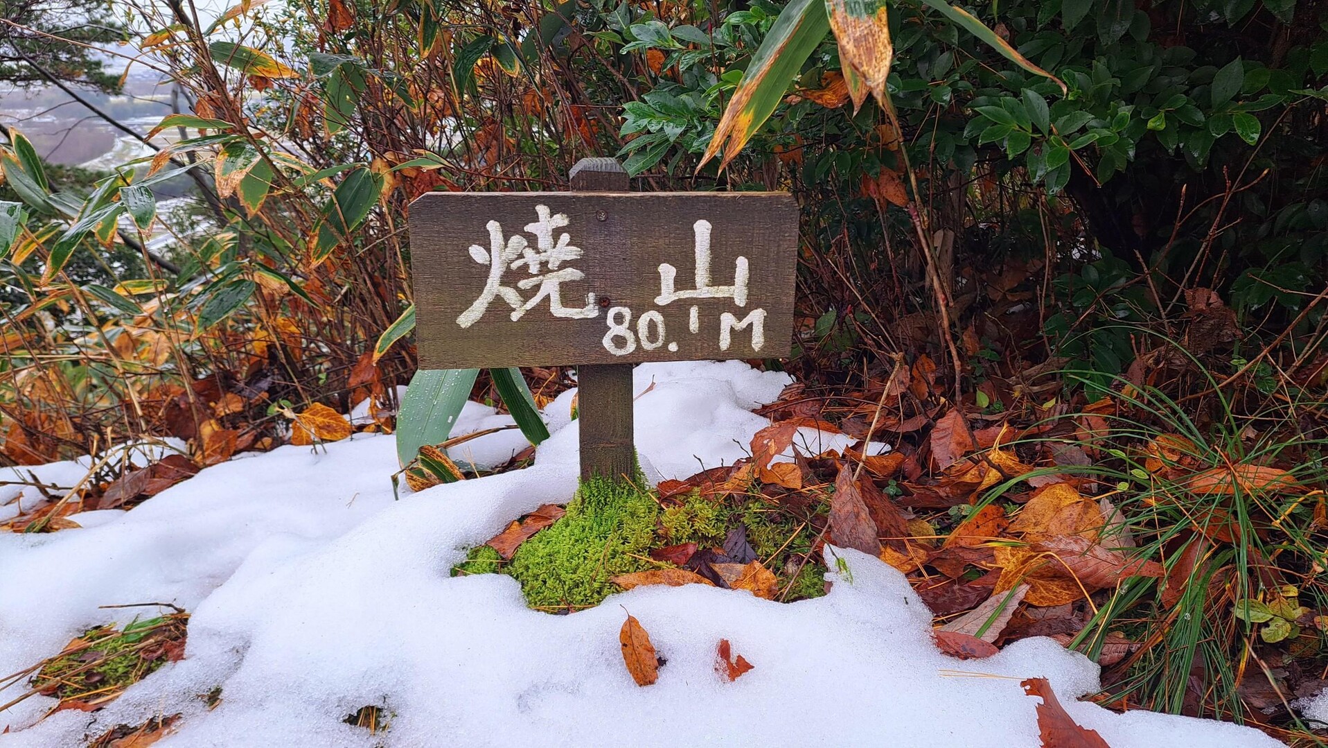 五十公野山・焼山 / takabooさんの五十公野山の活動データ | YAMAP / ヤマップ